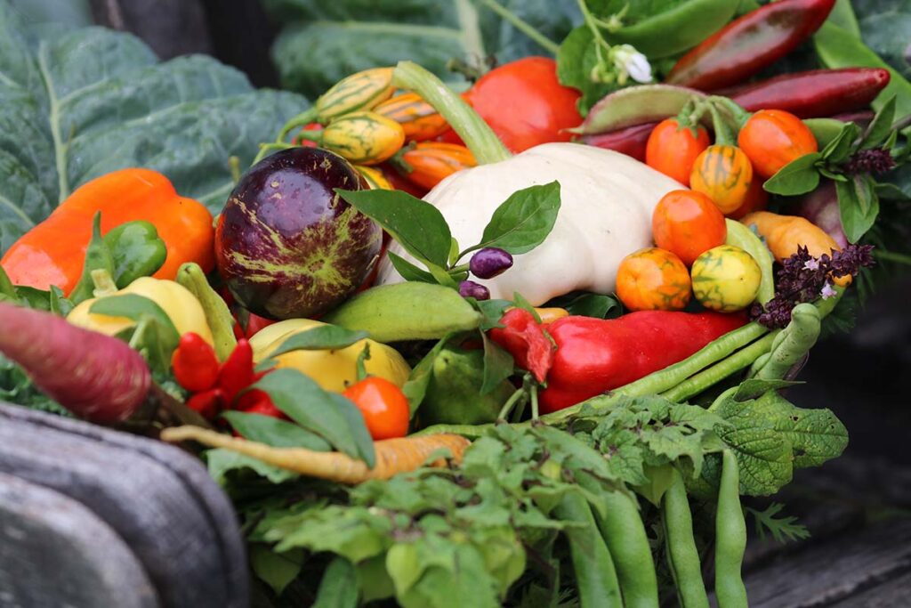 Education & Events - SeedSavers