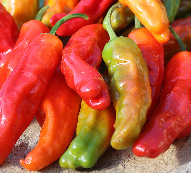 12 Types of Peppers to Grow In Your Garden - SeedSavers