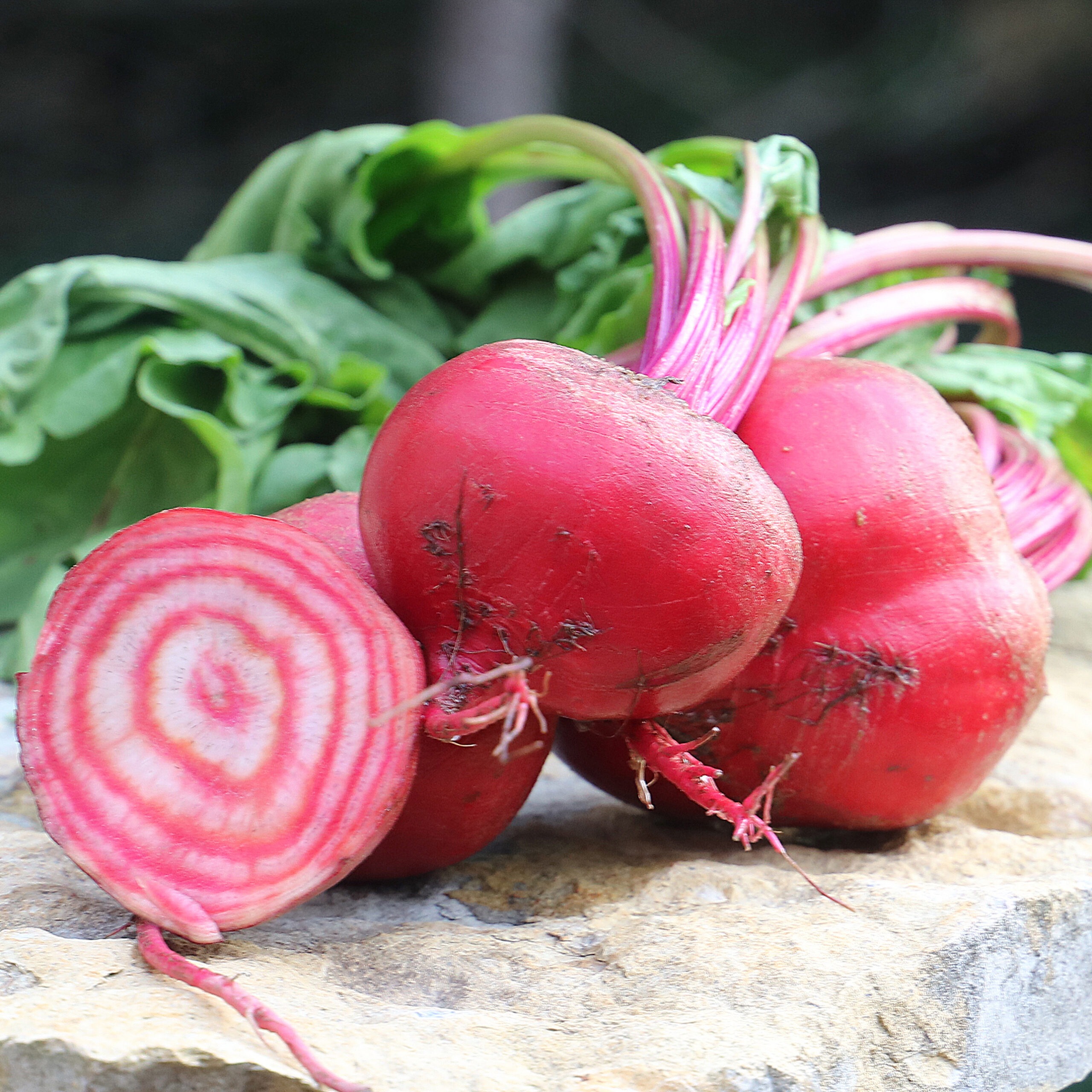 Growing Guide: Beets - SeedSavers