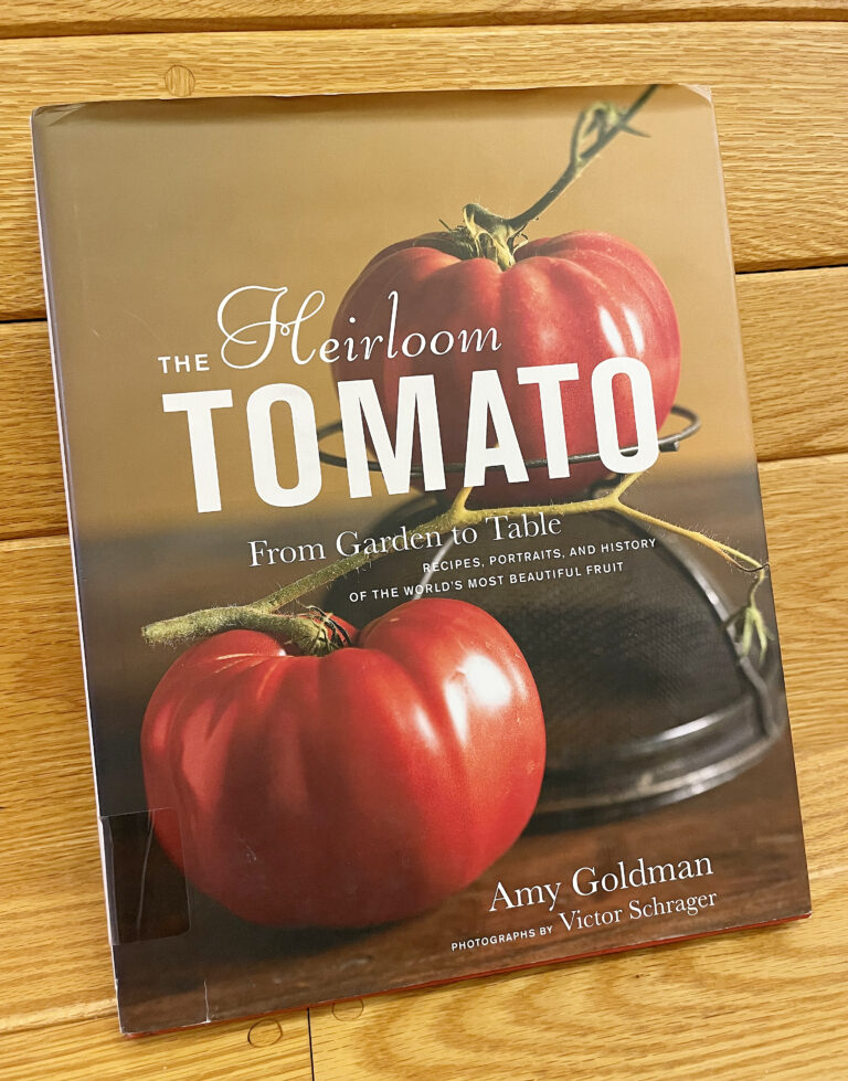 ‘German Pink’: the tomato that started it all - SeedSavers