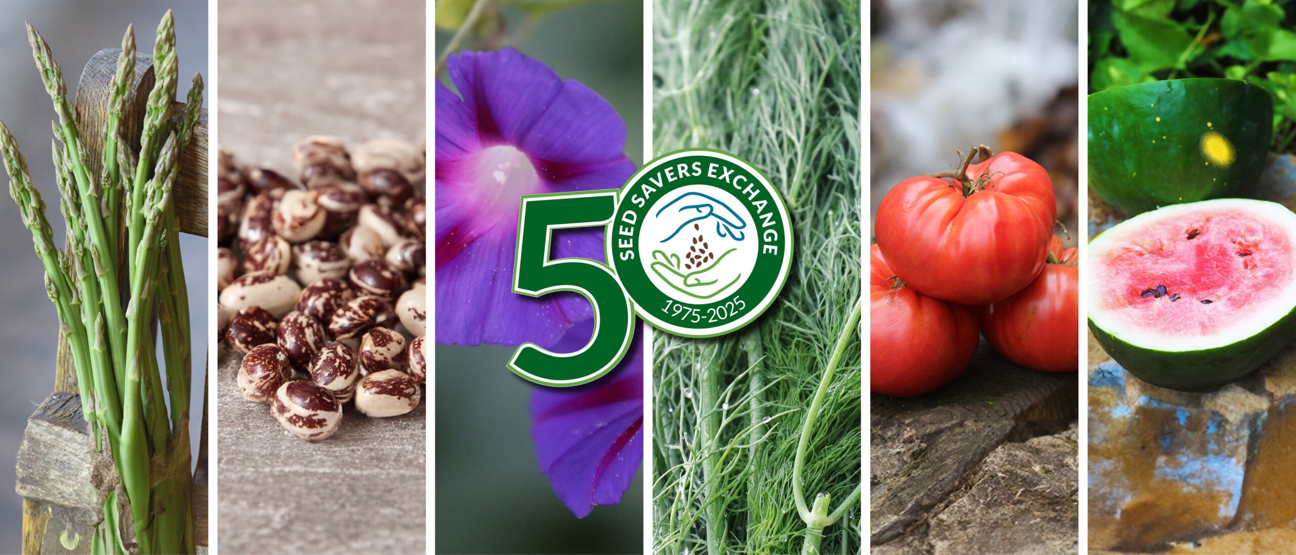 50th Anniversary Heirloom Seed Collection - SeedSavers