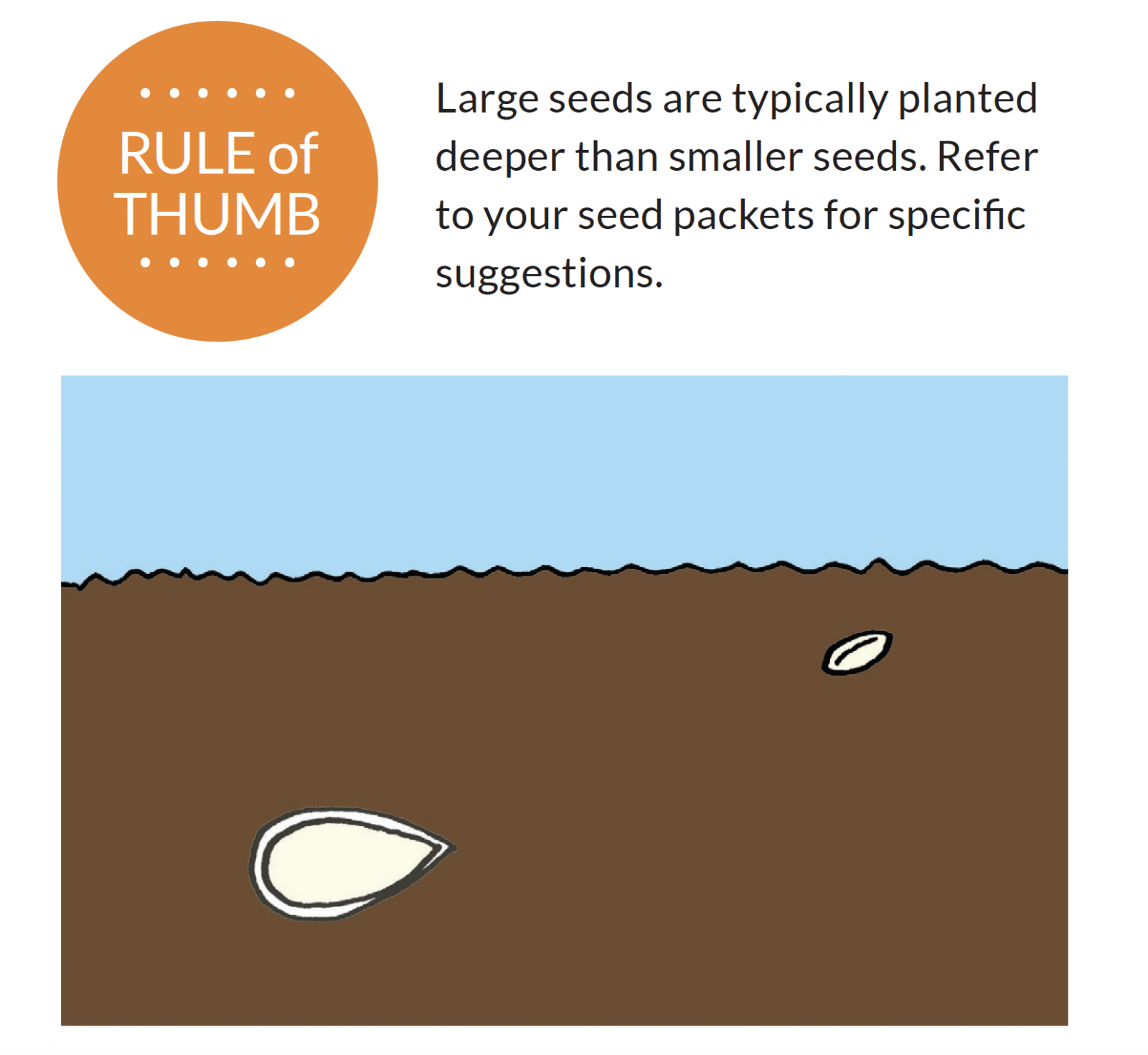Seed Starting - SeedSavers