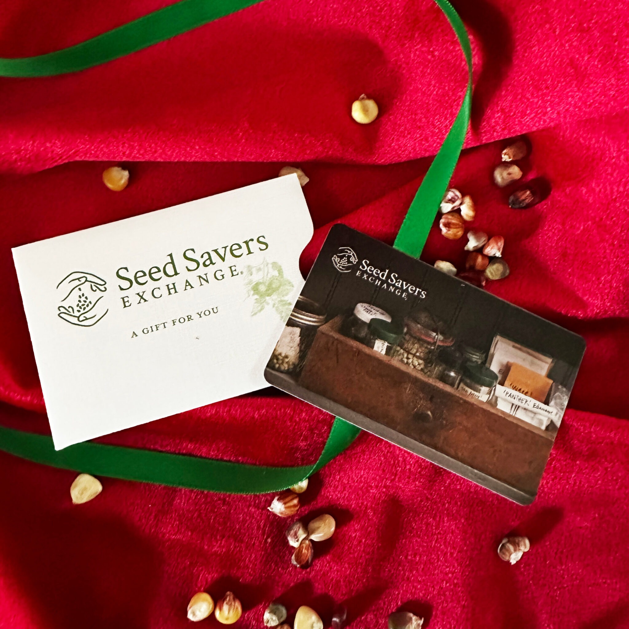 Your 2025 Holiday Gift Guide - SeedSavers